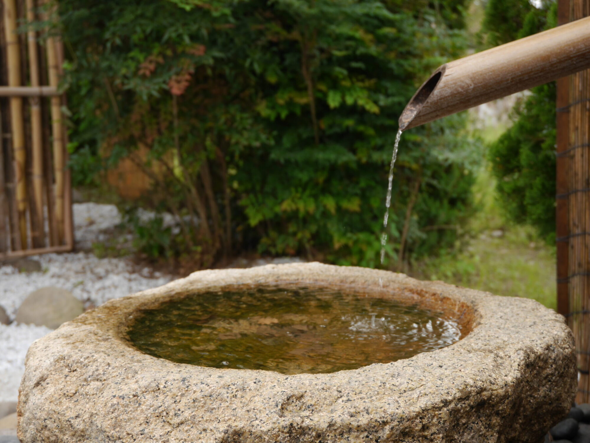 開店5周年を迎えることができました。 | お食事処 茂庵〜Moann〜@のんびりいなかぐらし